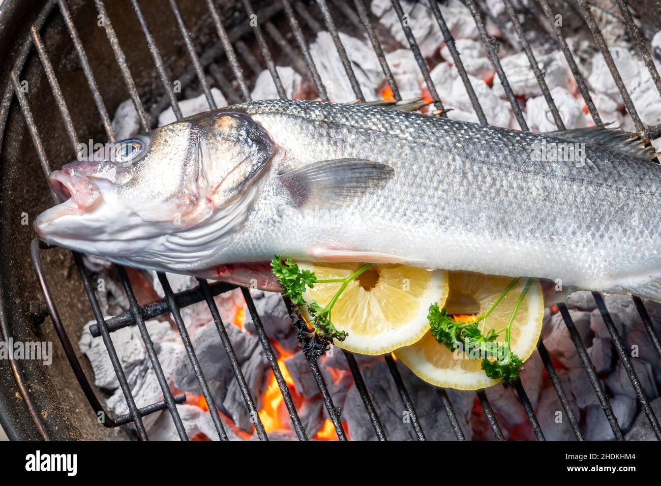 fish, broiling, gilt head bream, fishes, gilt-head breams Stock Photo ...