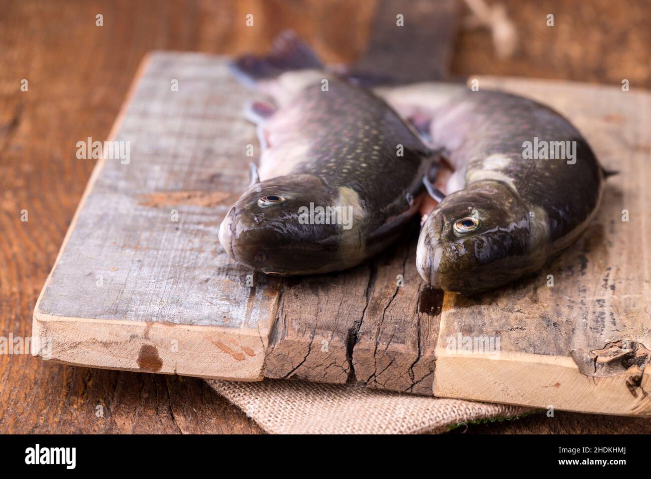 raw fish, brook trout, raw fishs, brook trouts, char, speckled trout ...
