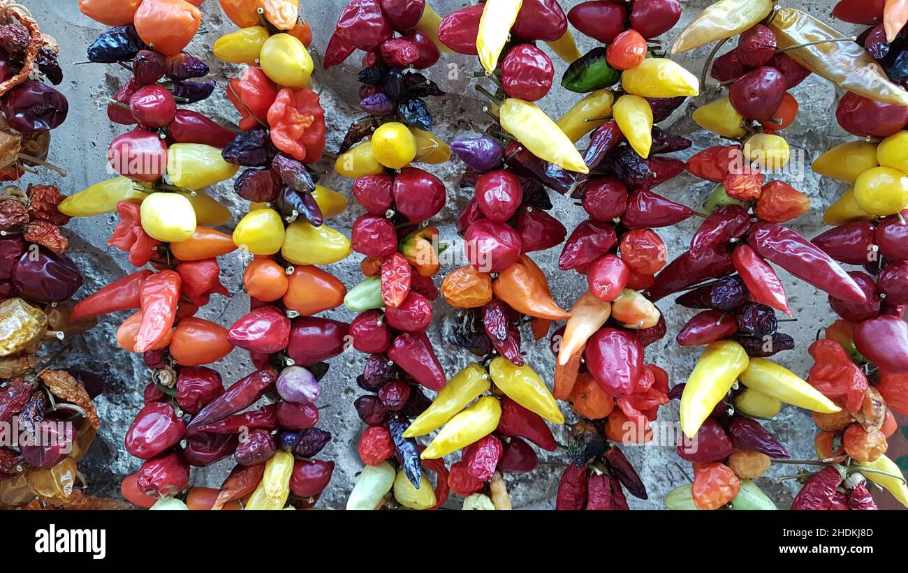 drying, pepper, dry, dryings, bell pepper, peppers, sweet pepper Stock ...