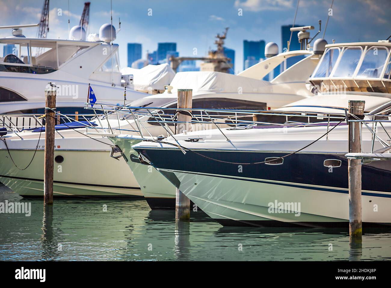 boat, marina, miami beach, boats, marinas, miami beachs Stock Photo - Alamy