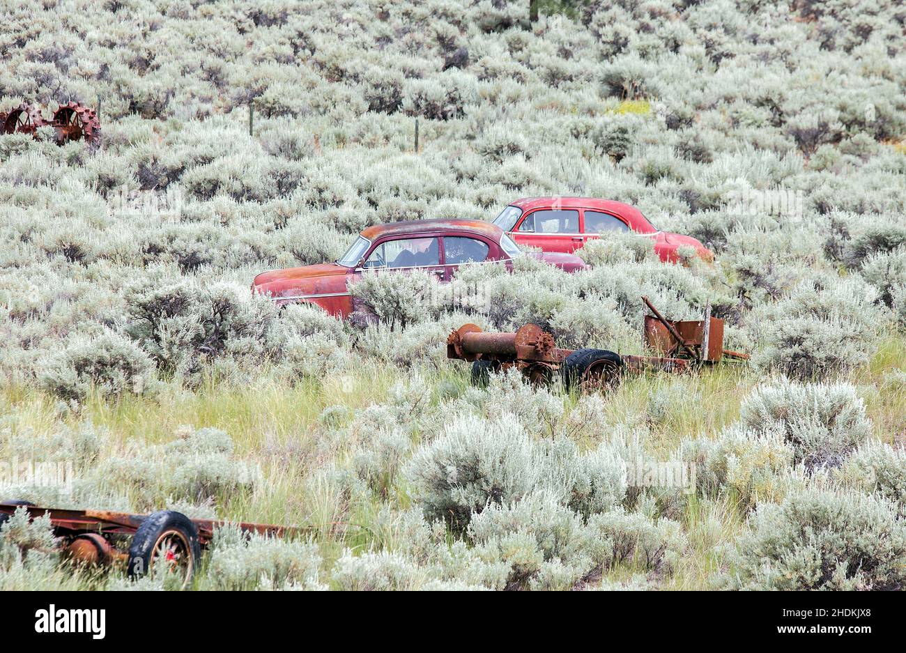 Car graveyards hi-res stock photography and images - Alamy
