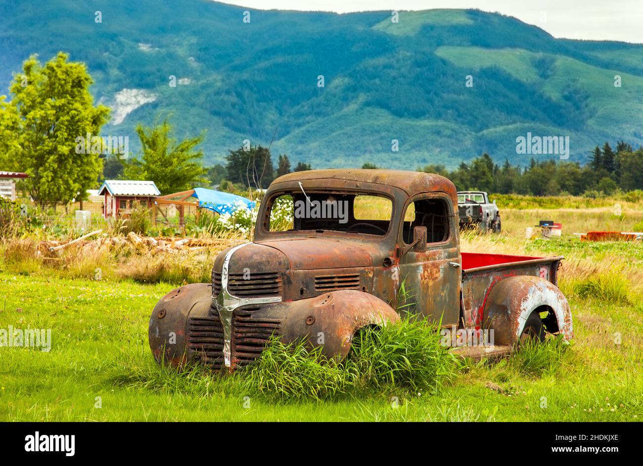 Car graveyards hi-res stock photography and images - Alamy