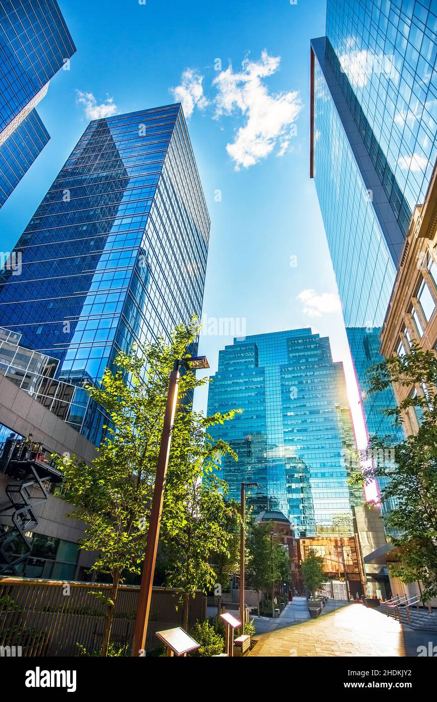 skyscraper, glass facade, edmonton, skyscrapers, glass facades Stock ...
