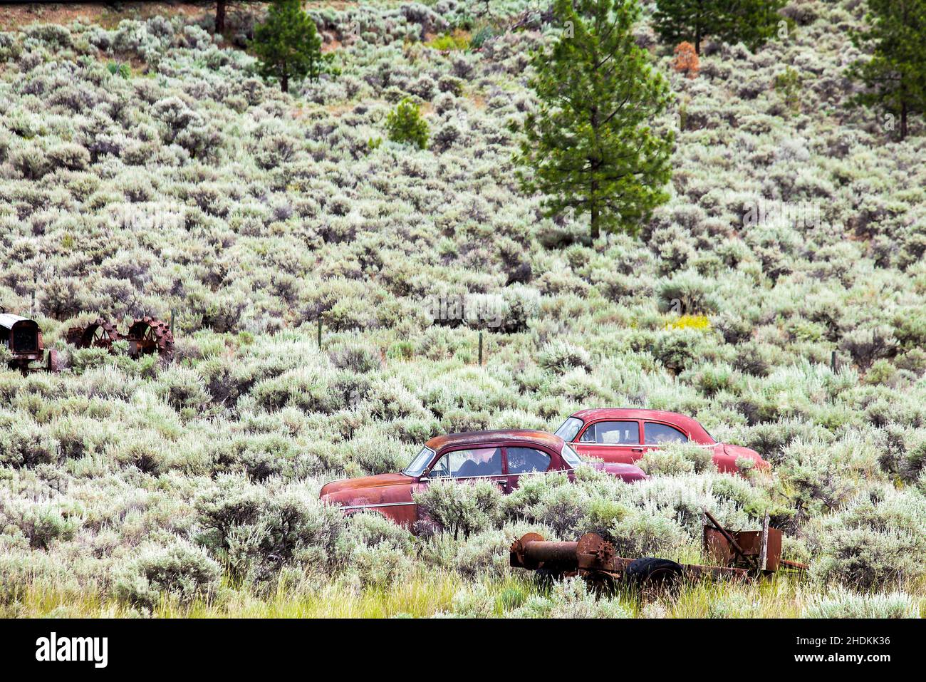 car graveyard, car graveyards Stock Photo - Alamy