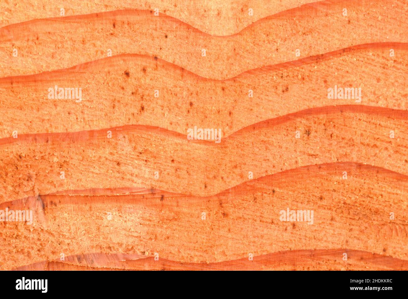 wood, grain, annual rings, woodland, woodlands, woods, grains, annual ...