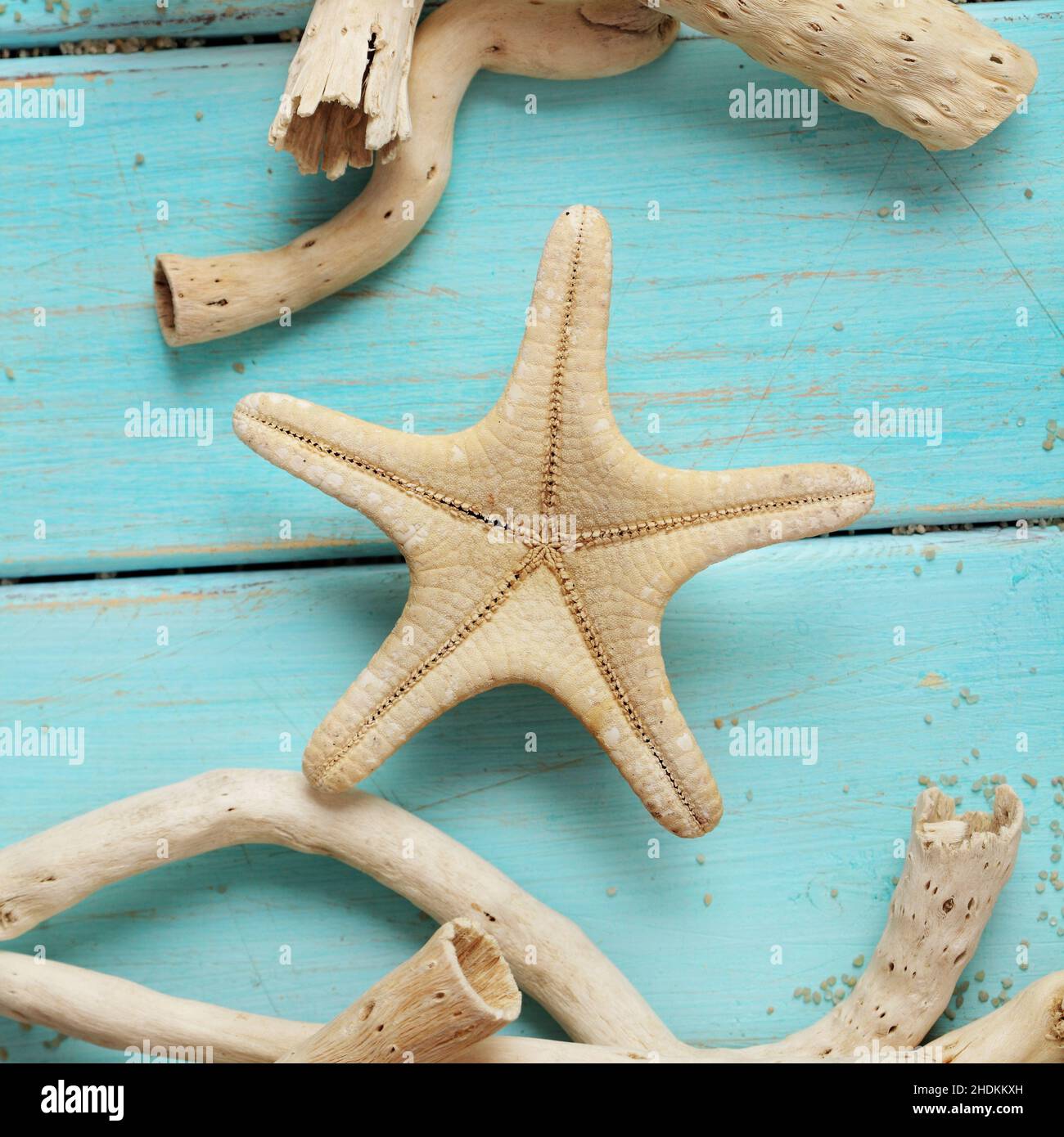 starfish, maritim, jetsam, starfishs, maritims, jetsams Stock Photo - Alamy
