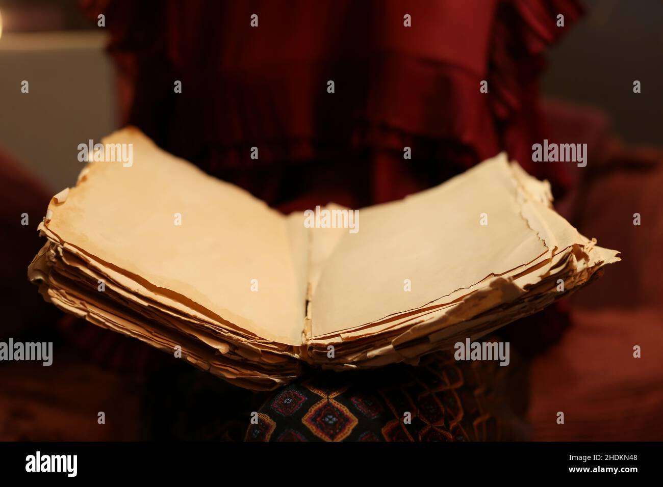 Woman reading pages of manuscript hi-res stock photography and images ...