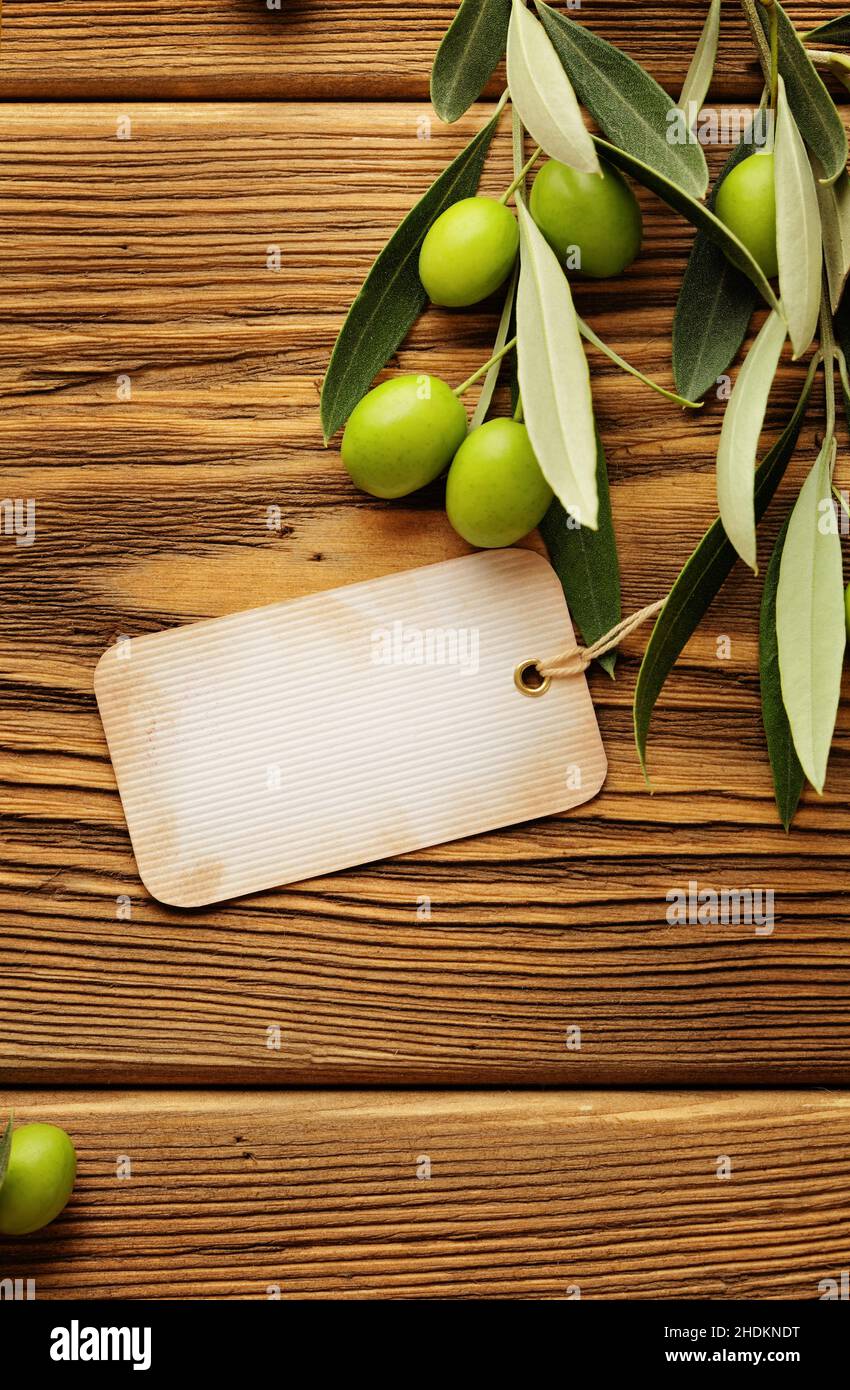 copy space, label, green olives, copyspace, labels, green olive Stock ...