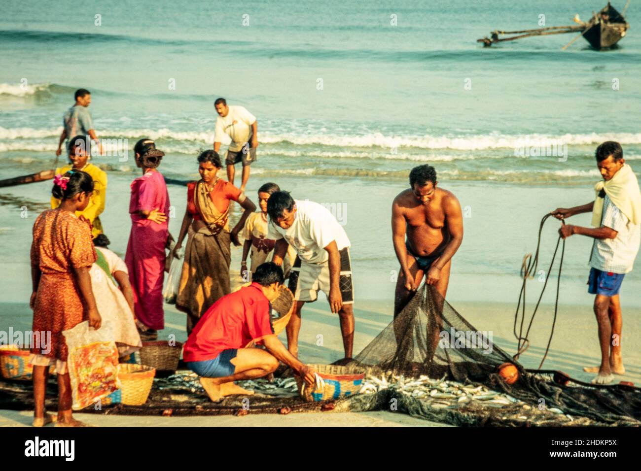 The catch, sustainable commercial fishing in Goa, India. Beachside ...