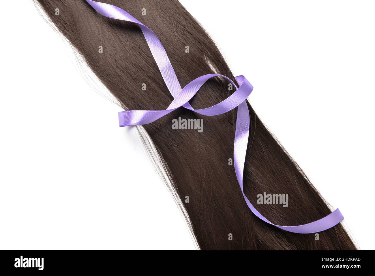Dark brown hair strand for donation with lilac ribbon on white ...
