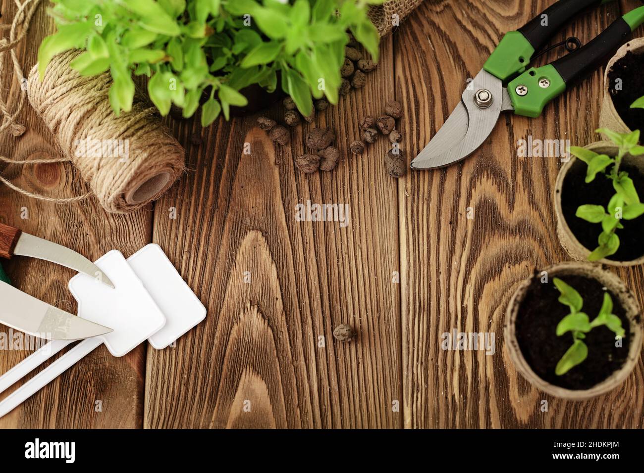 gardening, garden season, gardening equipment, plant care, tending of ...