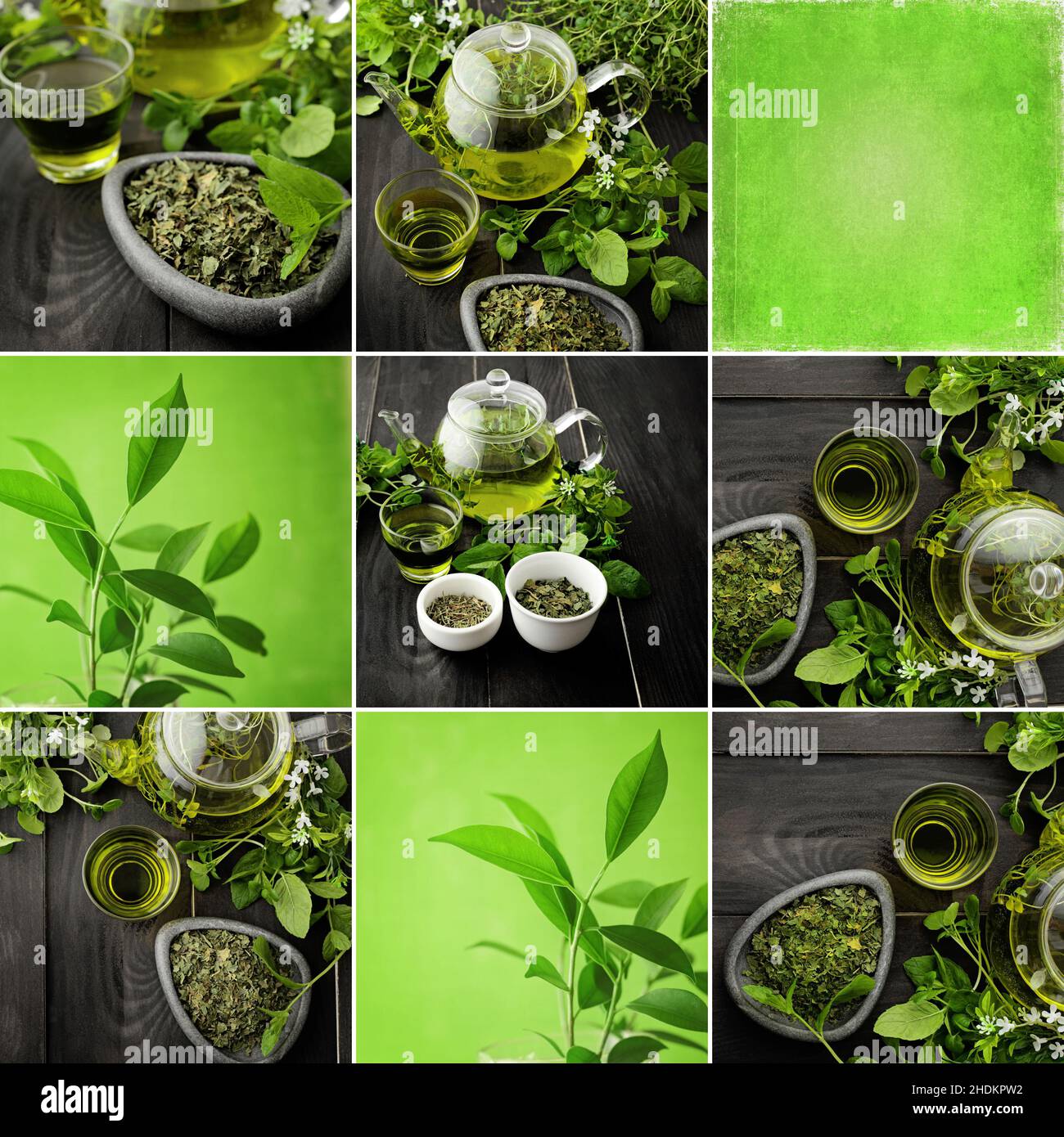 tea, herbal tea, tea plant, teas, herbal teas, tea crop, tea plants ...