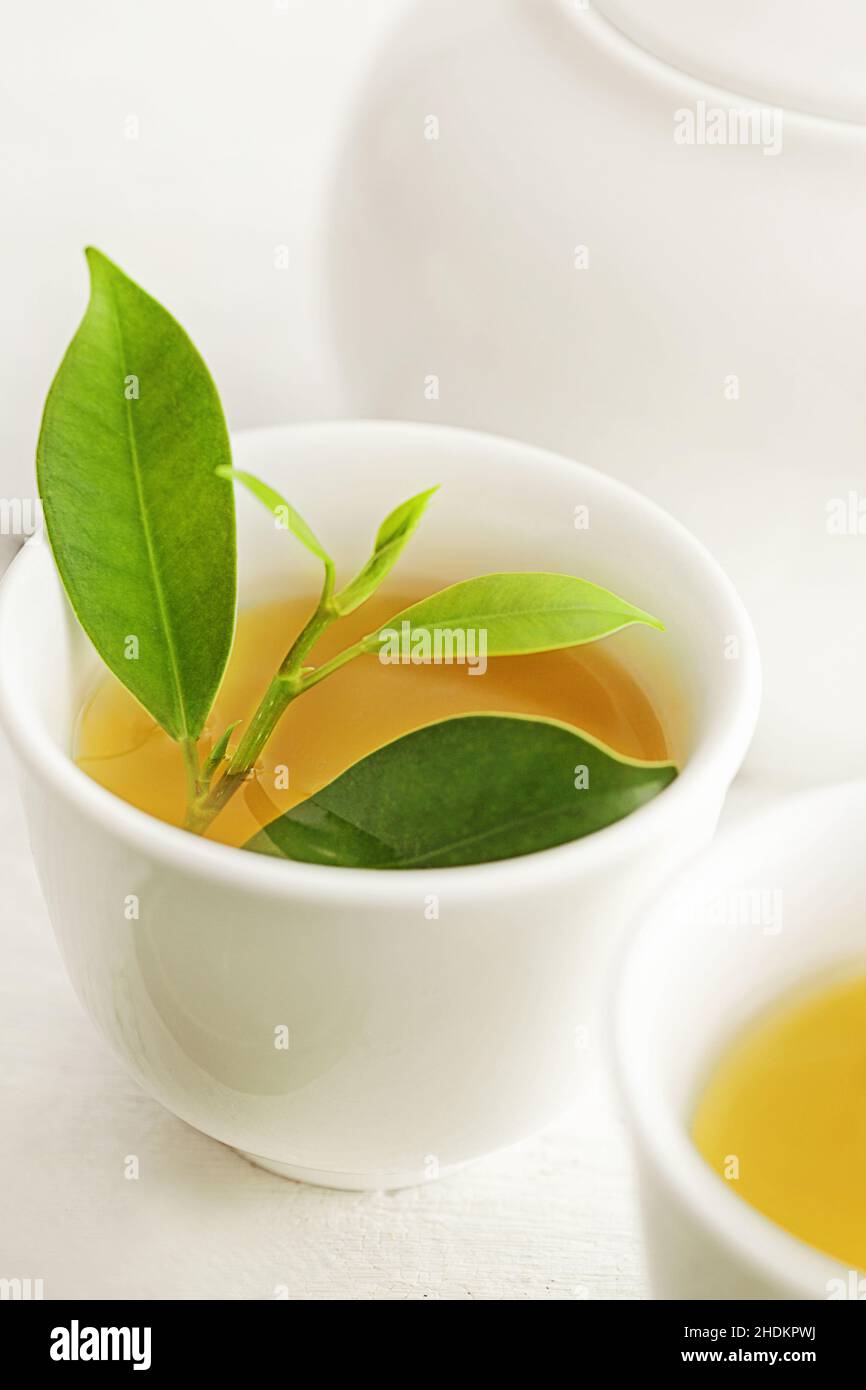 Vertical shot leaves tea hi-res stock photography and images - Alamy