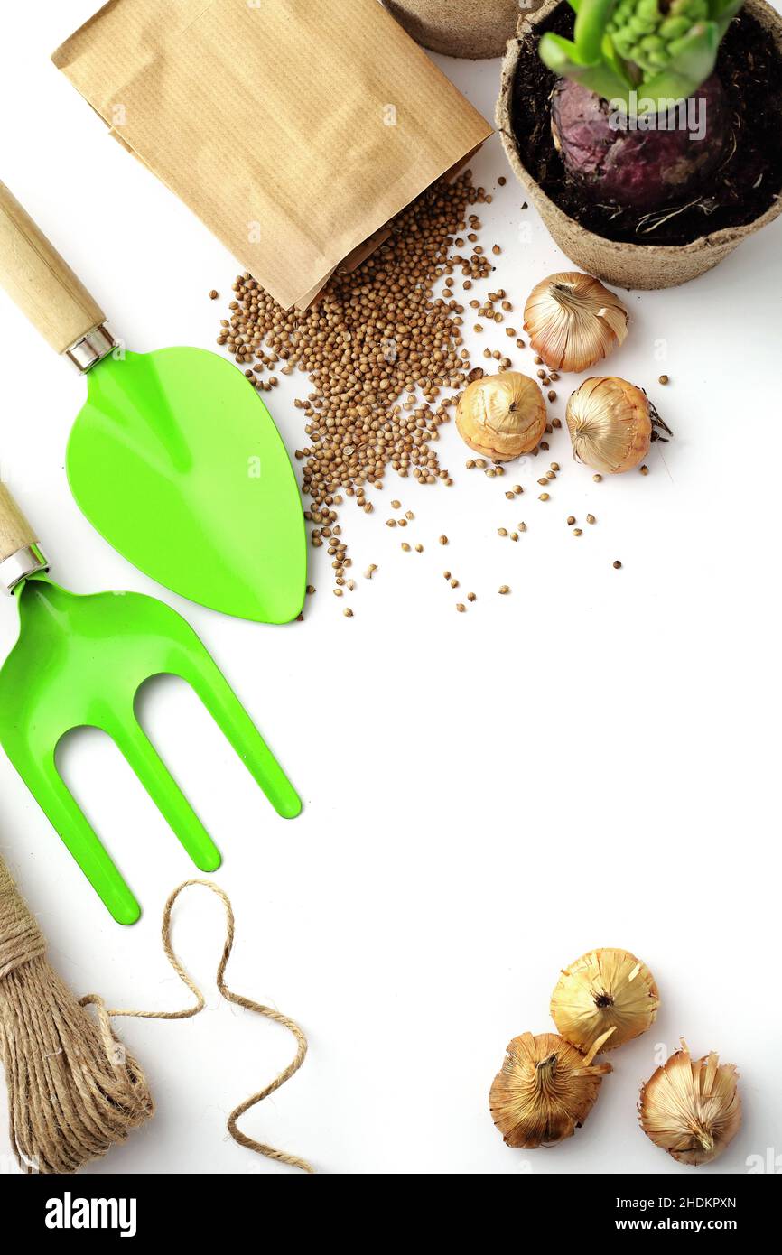 Ladles with plants hi-res stock photography and images - Alamy