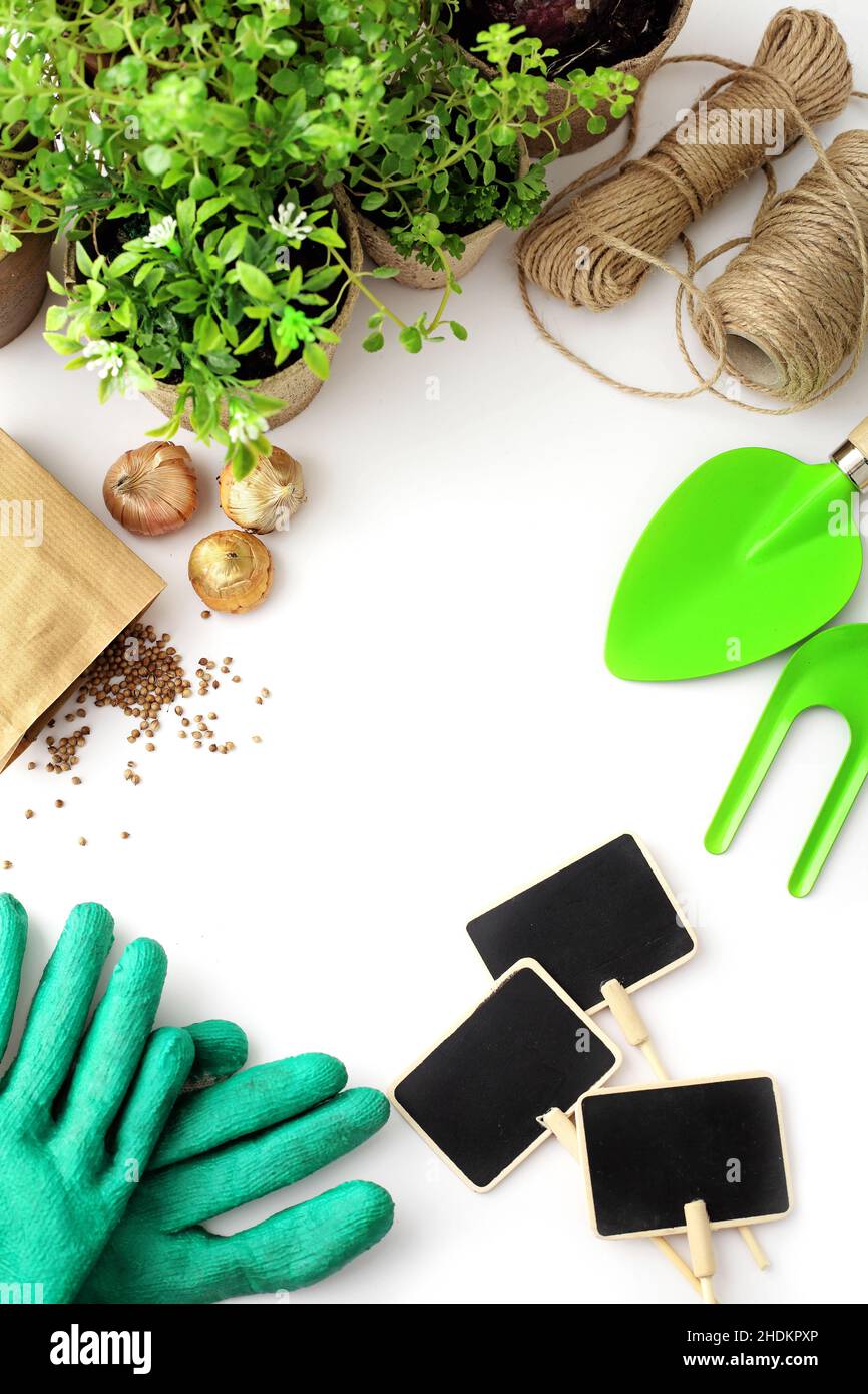 Ladles with plants hi-res stock photography and images - Alamy