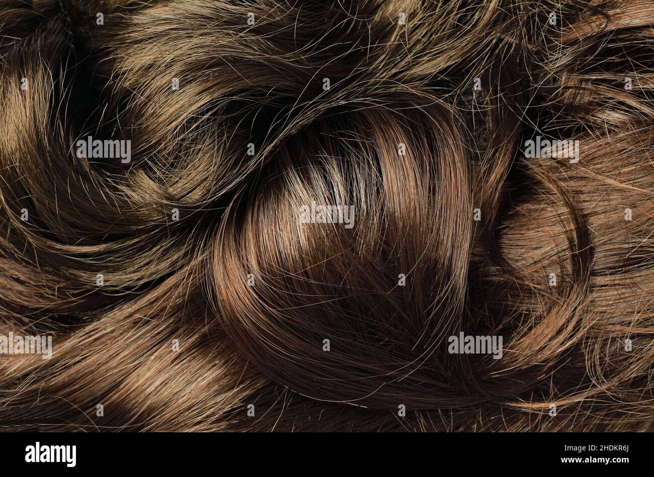 brunette, hair, curly, strand of hair, brunettes, hairs, curl, curlies ...