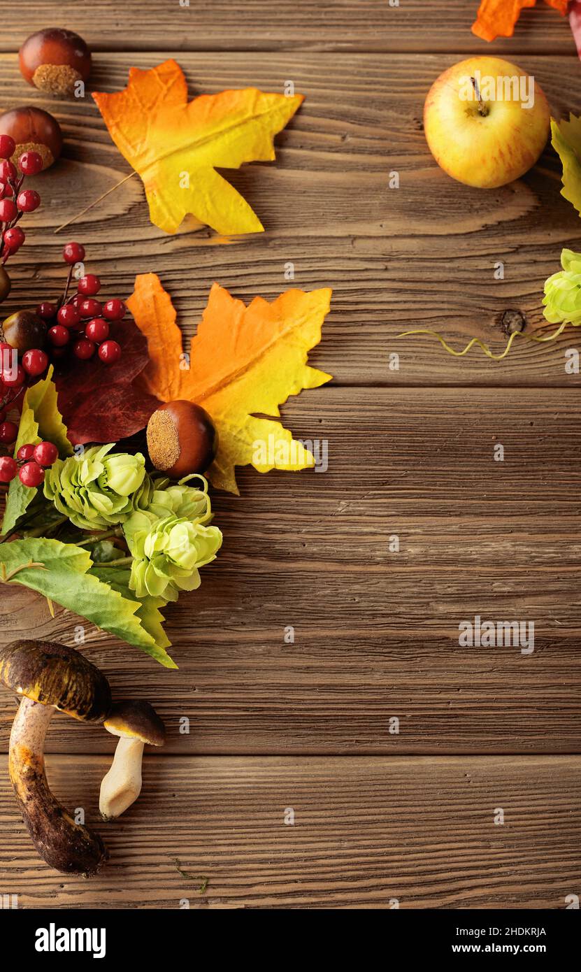 autumn, leaves, fruit, fall, leaf, fruits Stock Photo - Alamy