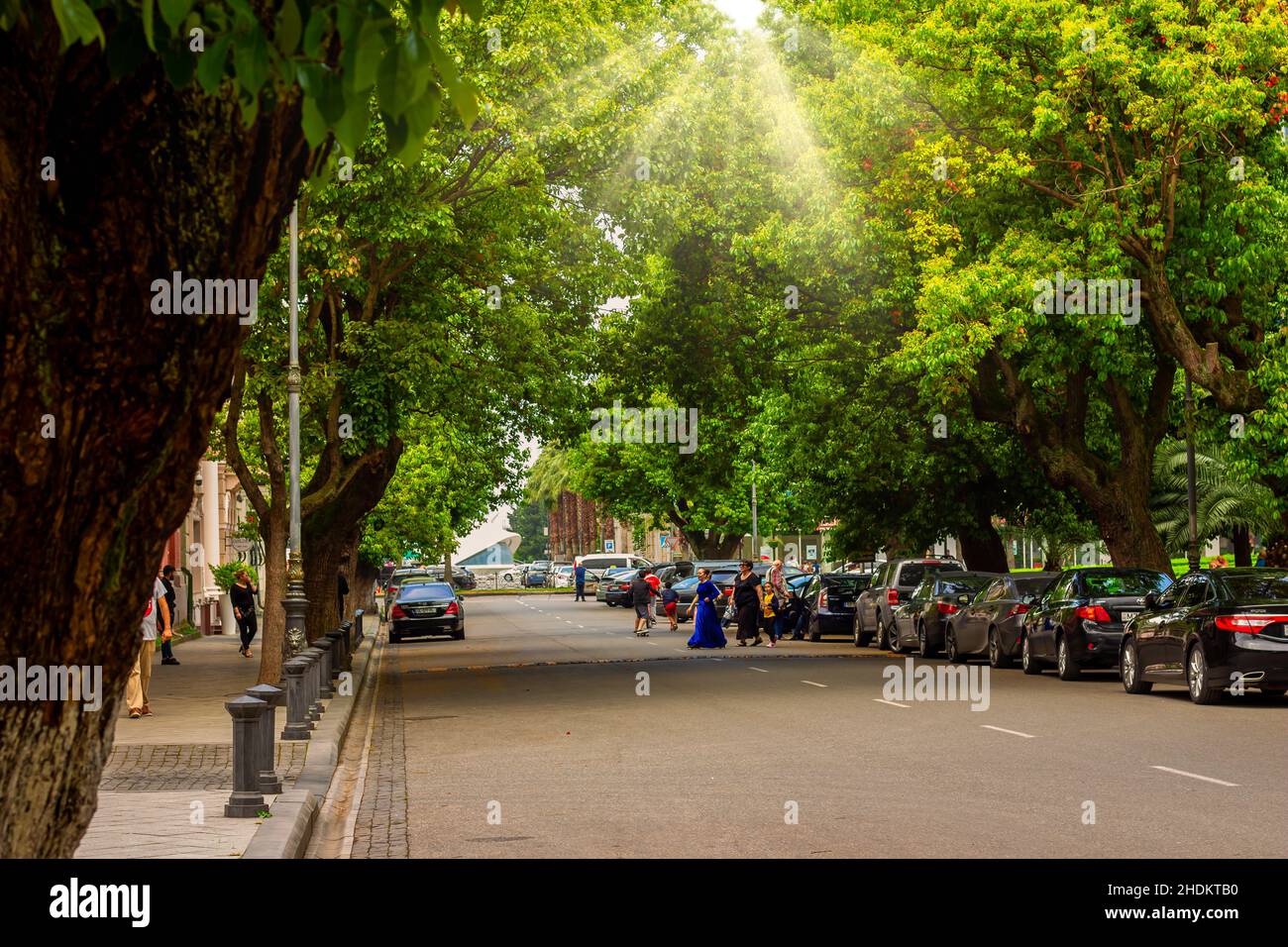 Street trees and human landscape landscape park hi-res stock ...