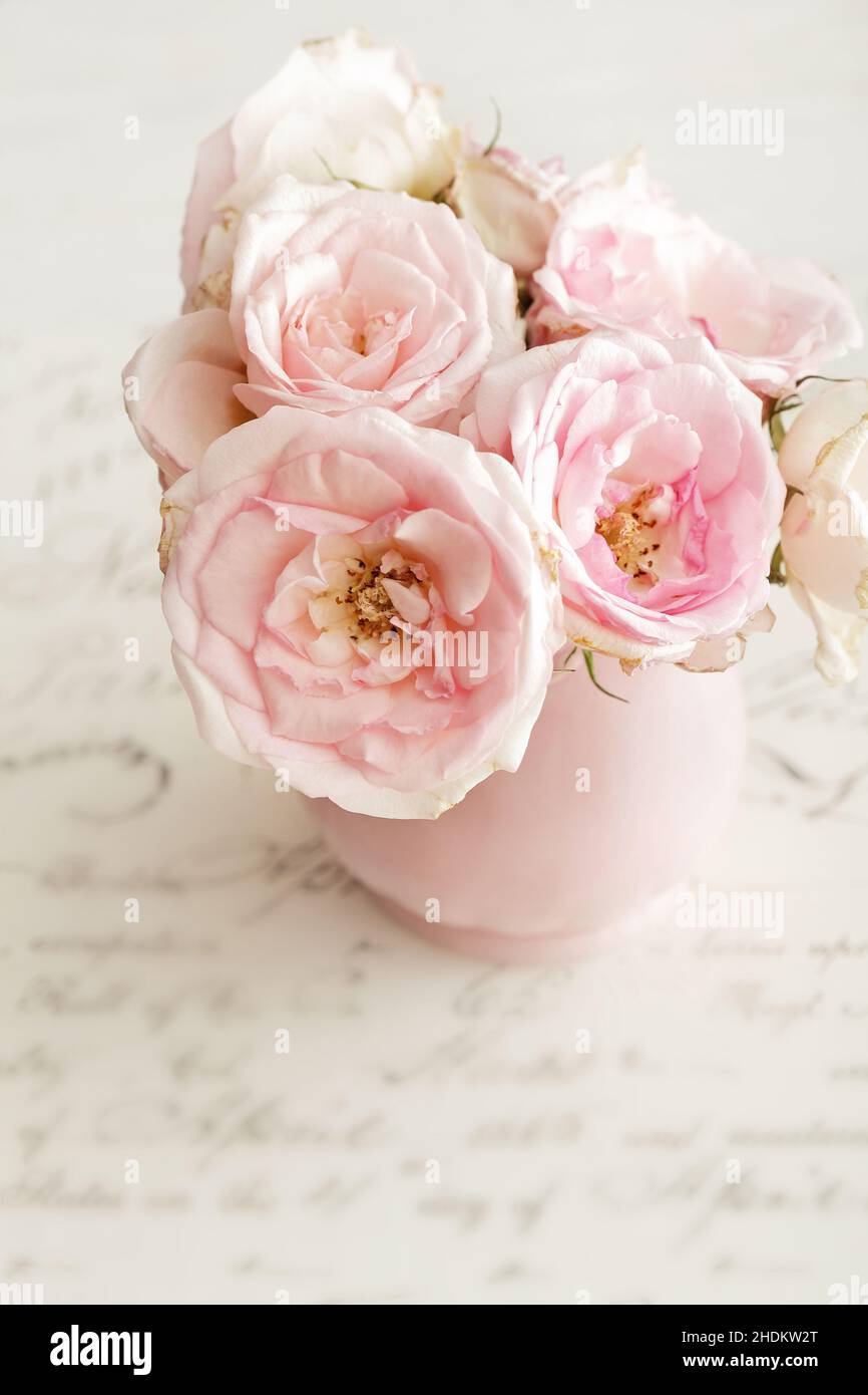letter, romantic, rose bouquet, letters, romantics, rose bouquets Stock ...
