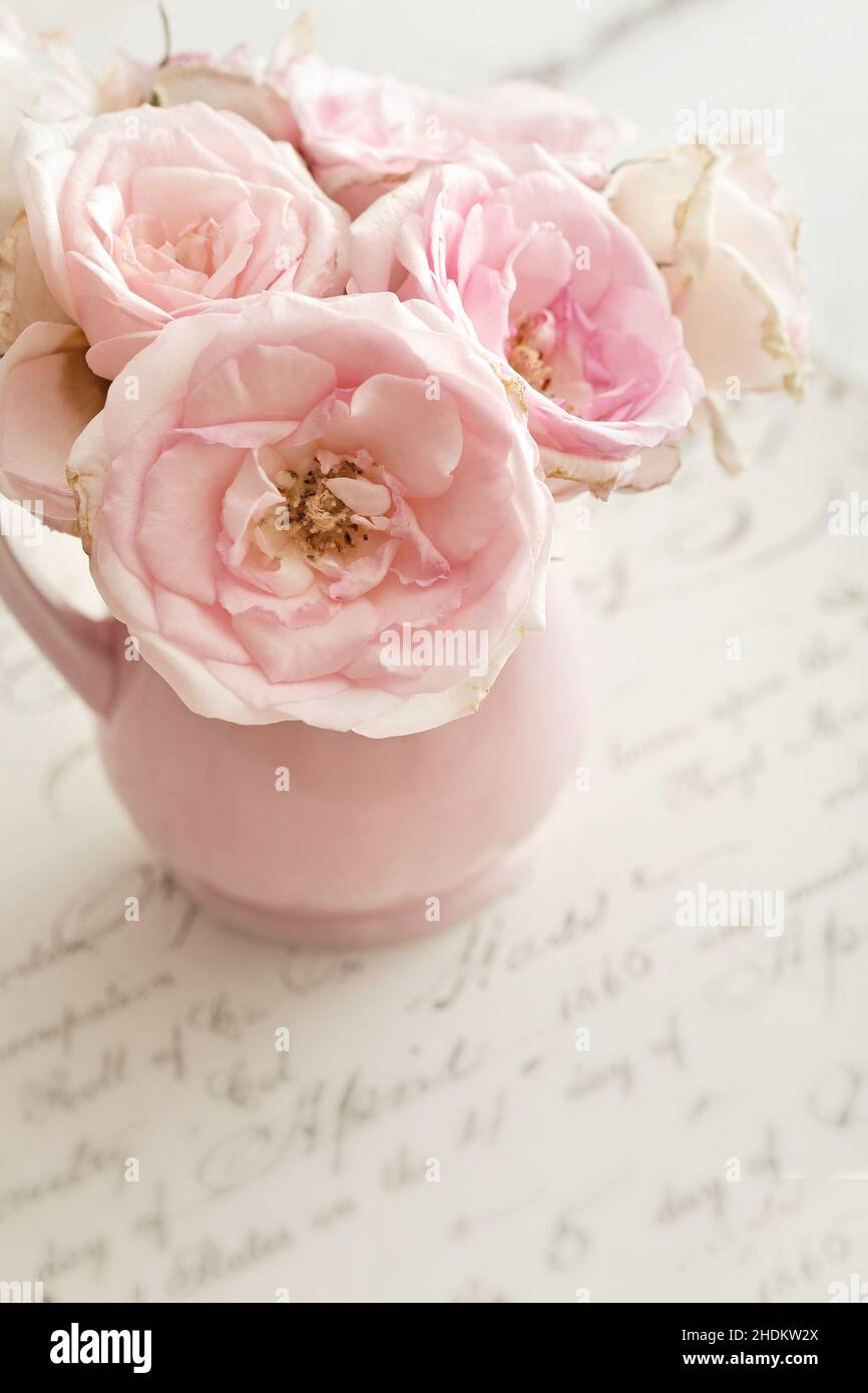 letter, romantic, rose bouquet, letters, romantics, rose bouquets Stock ...