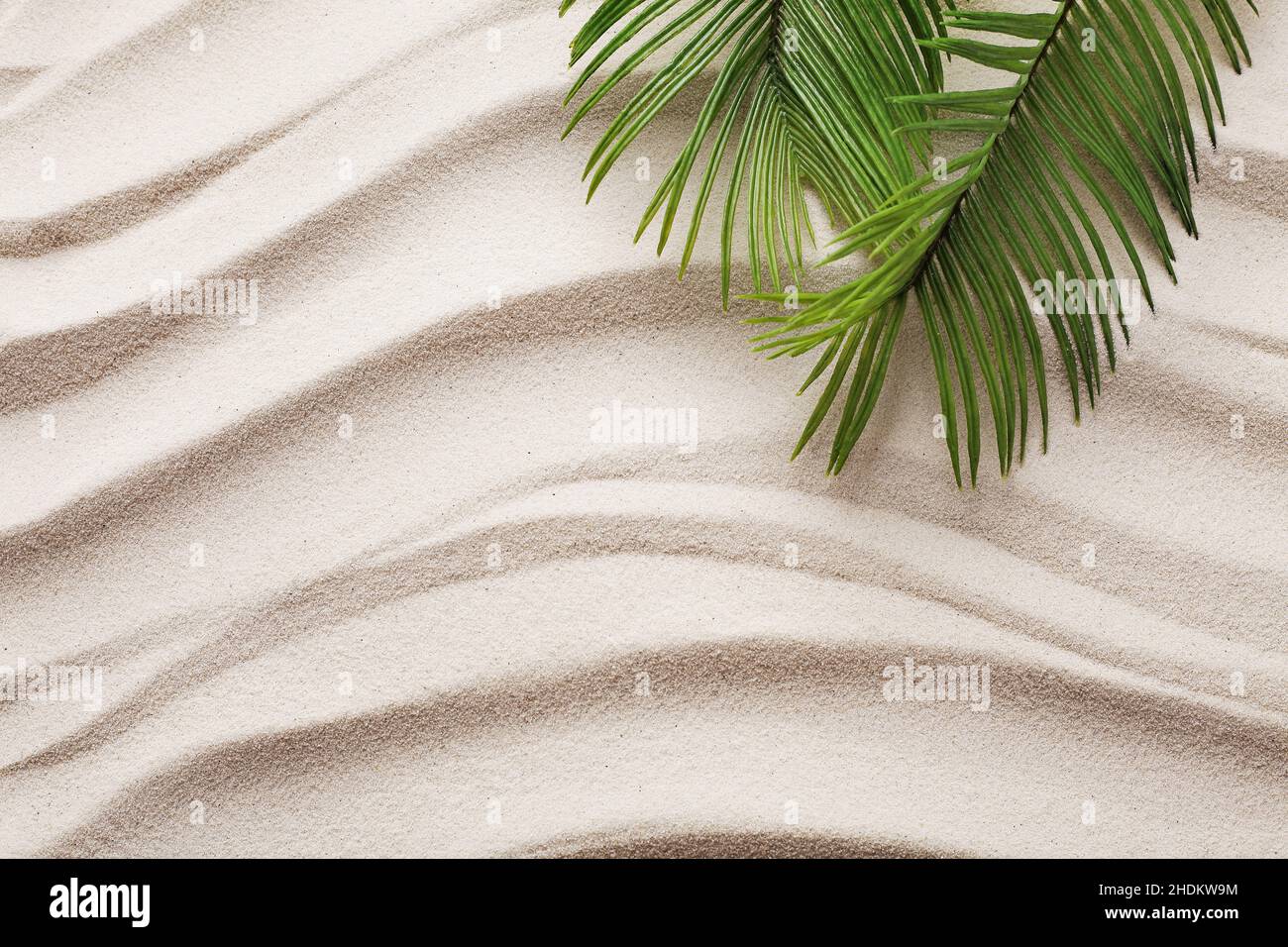 sand, palm leaf, sands, palm leafs Stock Photo - Alamy