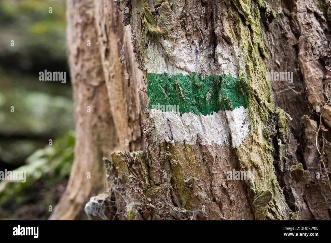 trail, markers, trailblazing, trails, marker Stock Photo - Alamy