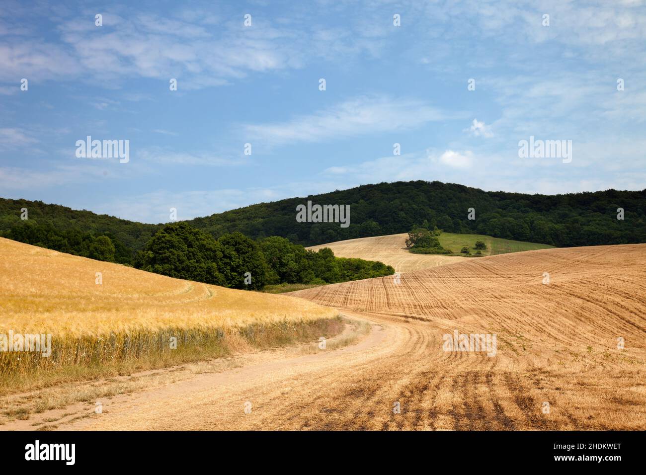 Kunitz hi-res stock photography and images - Alamy