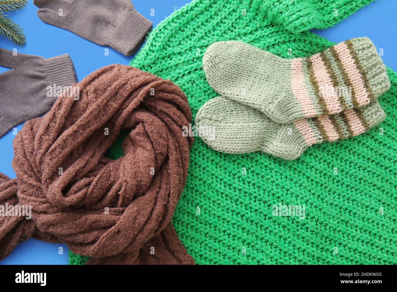 Stylish clothes and fir tree branch on blue background Stock Photo - Alamy