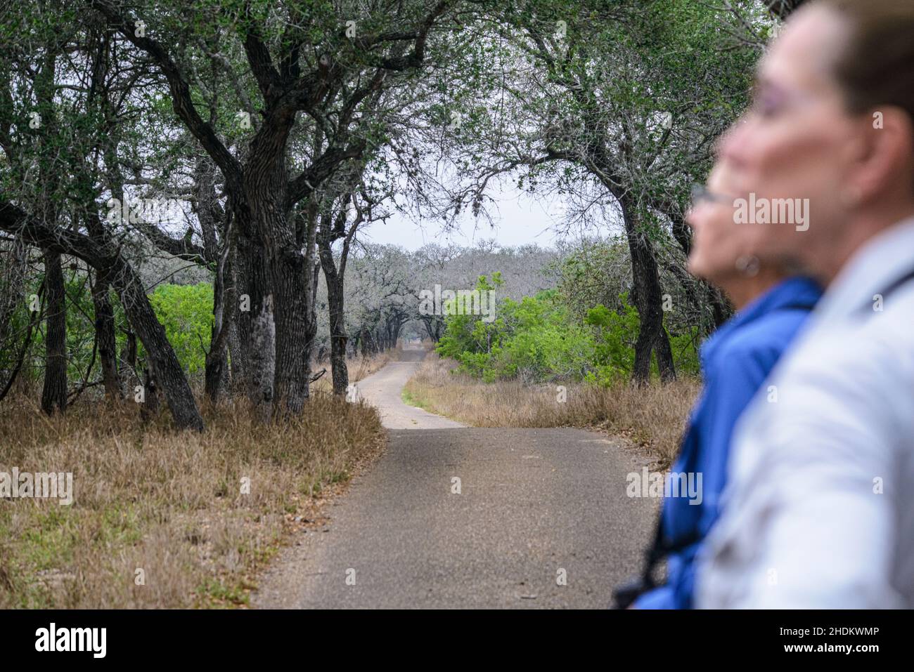 Bird watching at the King Ranch in Texas Stock Photo - Alamy