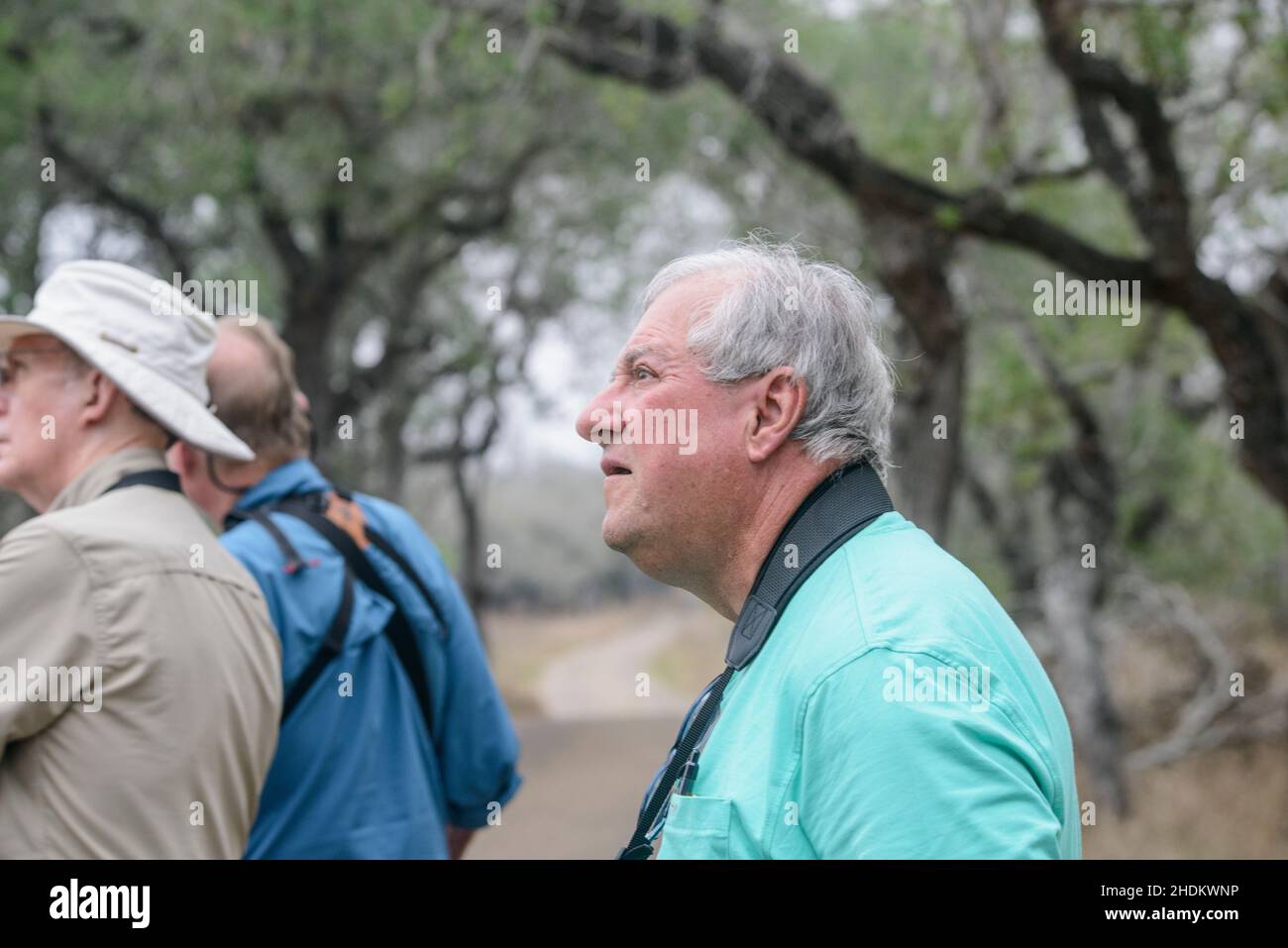 Bird watching at the King Ranch in Texas Stock Photo - Alamy
