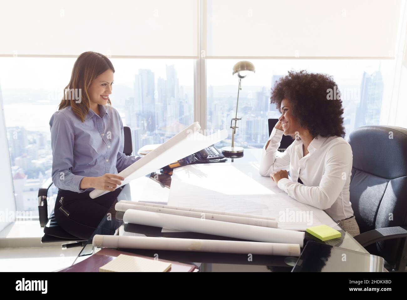 planning, draft, blueprint, architect office, architect, drafts ...