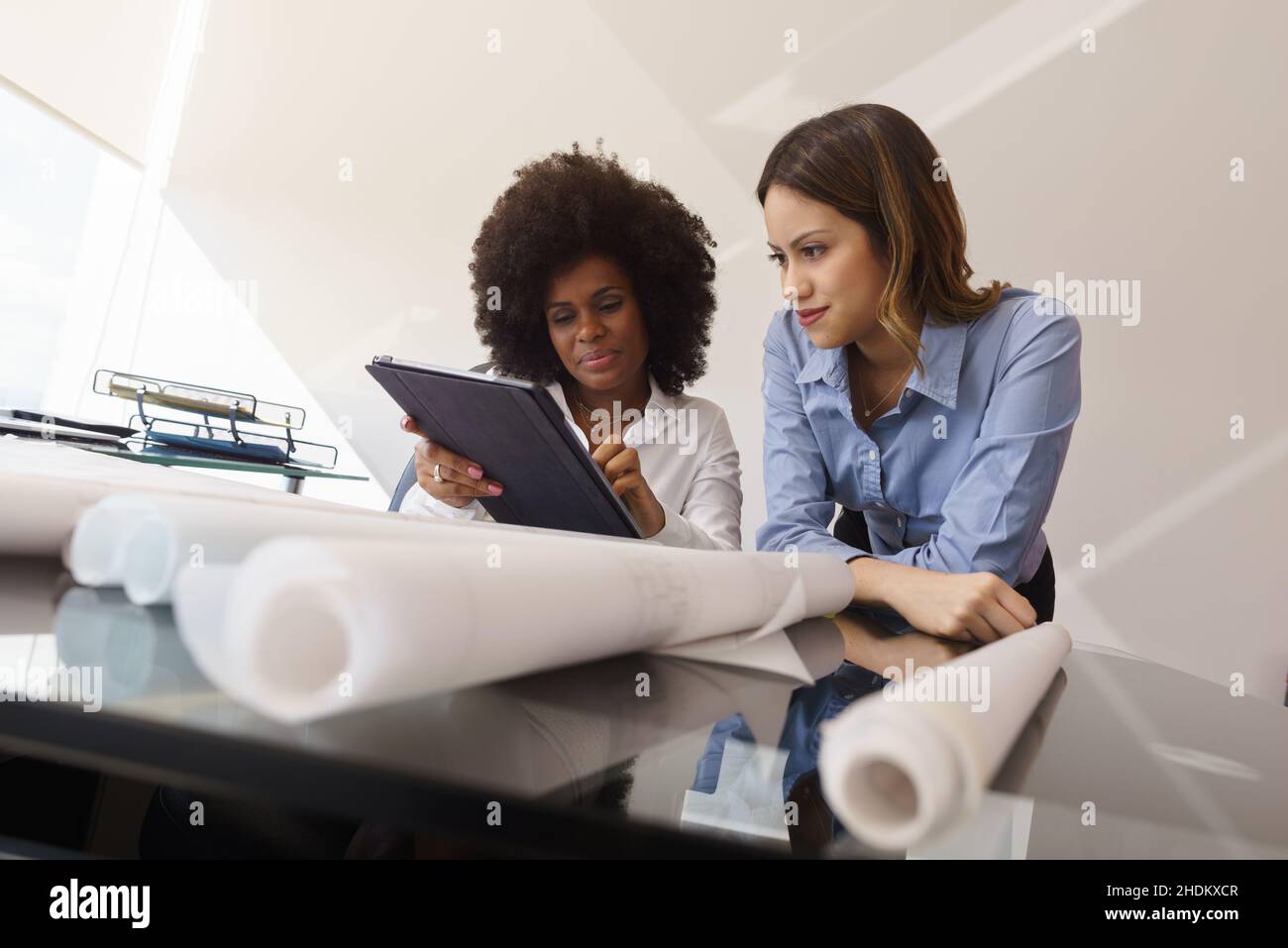 draft, blueprint, architect office, architect, drafts, blueprints ...