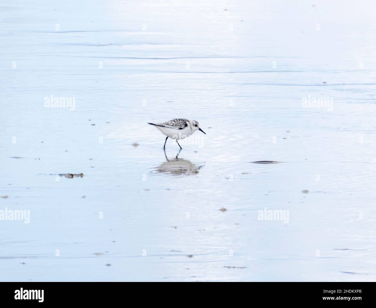 Wadden 1 hi-res stock photography and images - Alamy