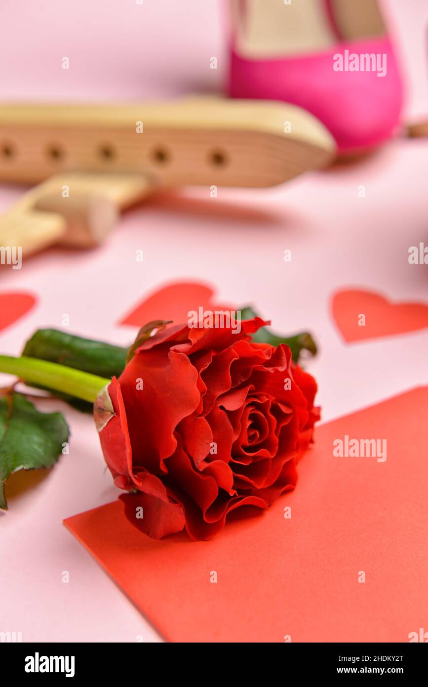 Beautiful red rose on pink background, closeup. Valentine's Day ...