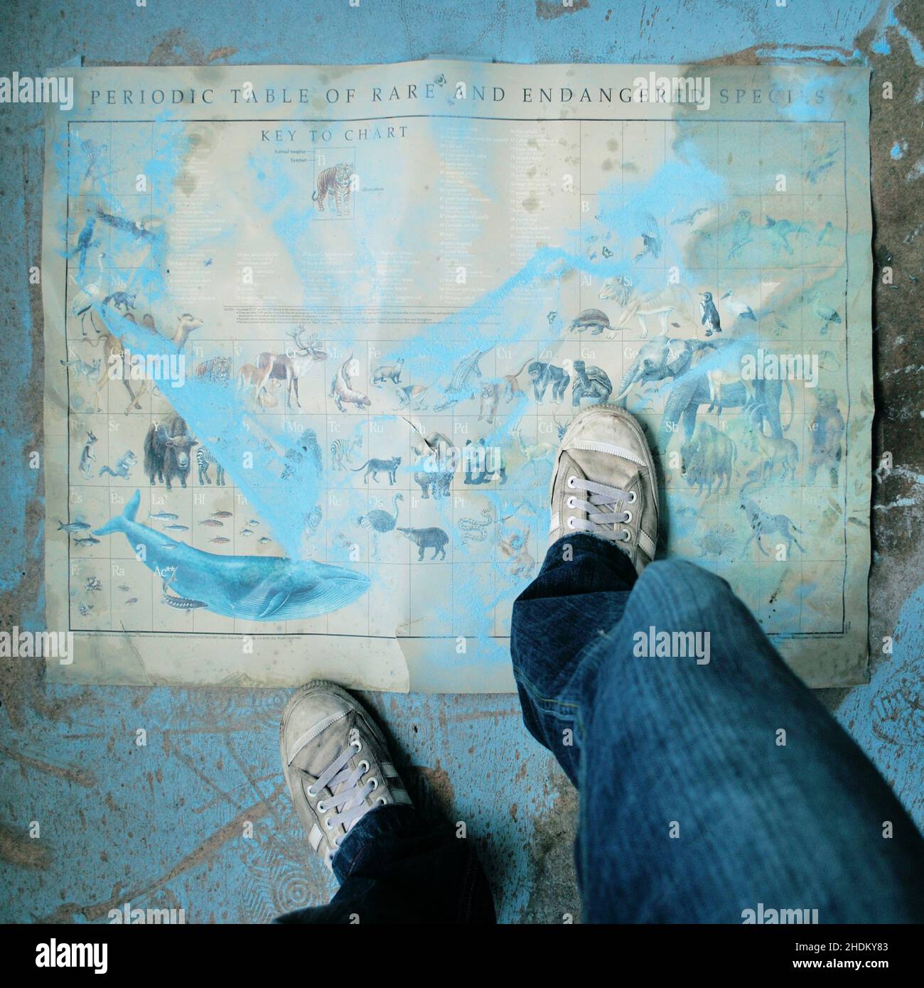 Poster adult schools hi-res stock photography and images - Alamy