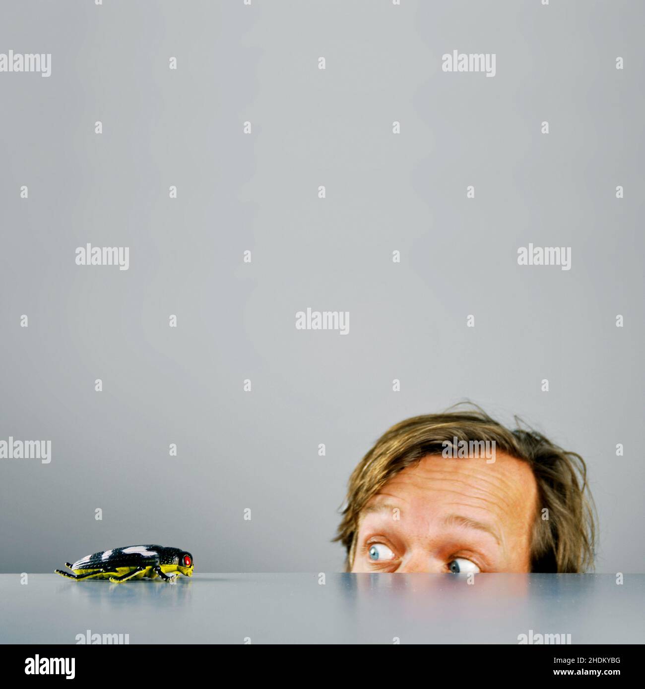 Hazardous insects hi-res stock photography and images - Alamy