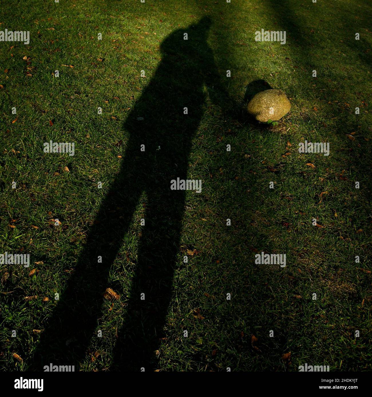 Shadow lawns hi-res stock photography and images - Alamy