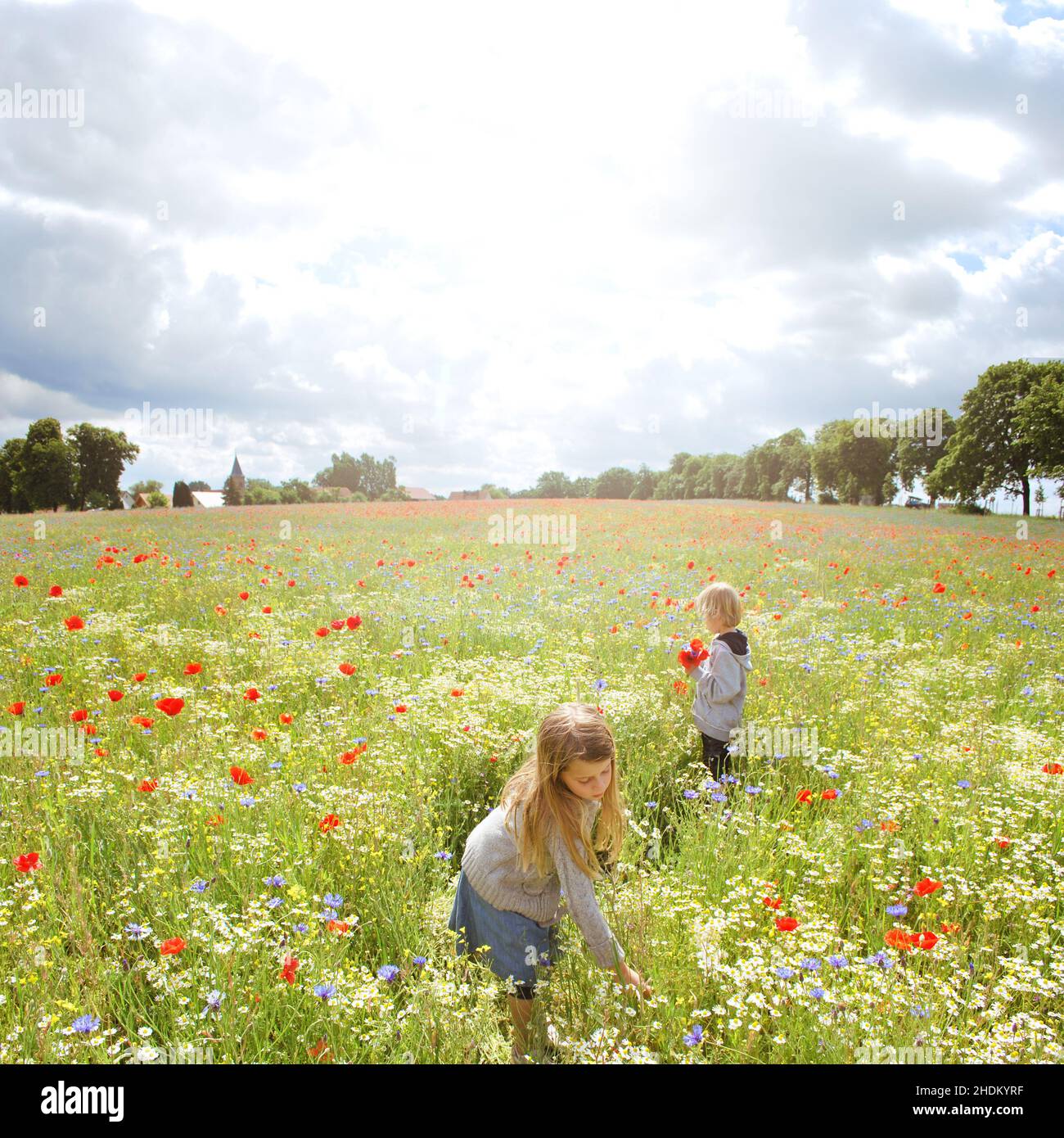 Boy boys male kids children flower hi-res stock photography and images ...