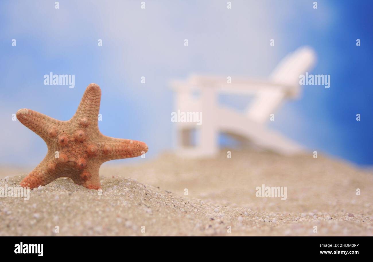 Starfish and Beach Chair, Shallow DOF, Focus on Starfish Stock Photo ...