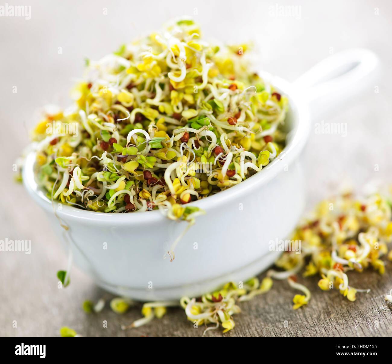 alfalfa sprouts, alfalfa, sprout, alfalfas Stock Photo - Alamy