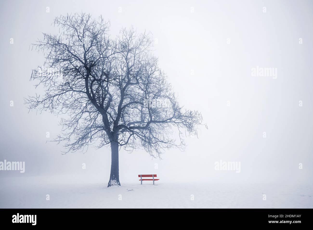 tree, winter, trees, winters Stock Photo - Alamy