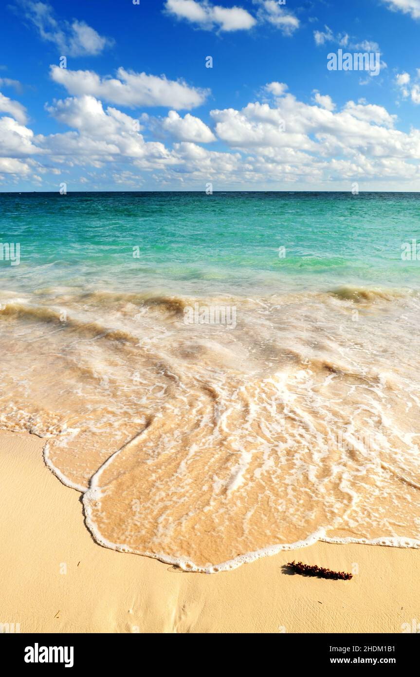 beach, sea, beaches, seaside, seas Stock Photo - Alamy