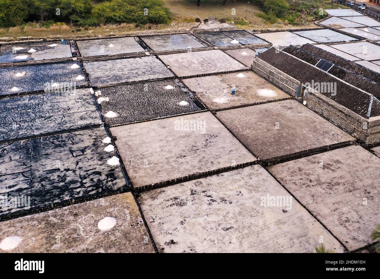 Salt production on the island of Mauritius in the Indian Ocean Stock ...
