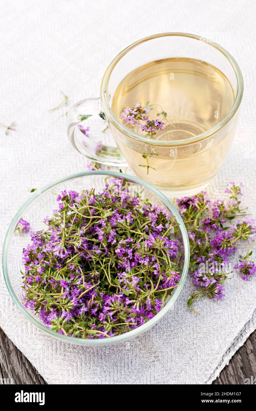 herbal tea, tea, cough tea, herbal teas, teas Stock Photo - Alamy