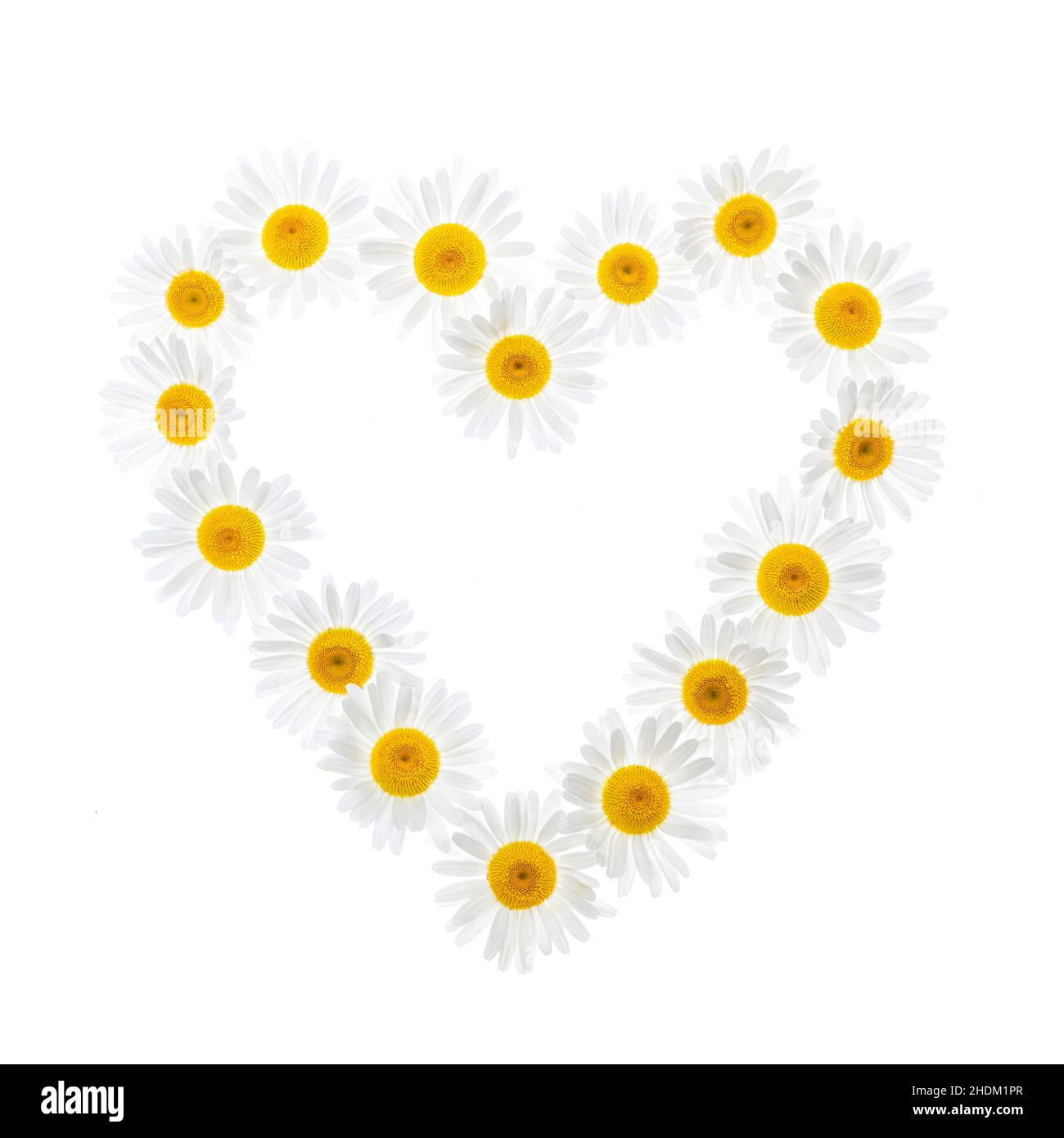 Cordates hi-res stock photography and images - Alamy