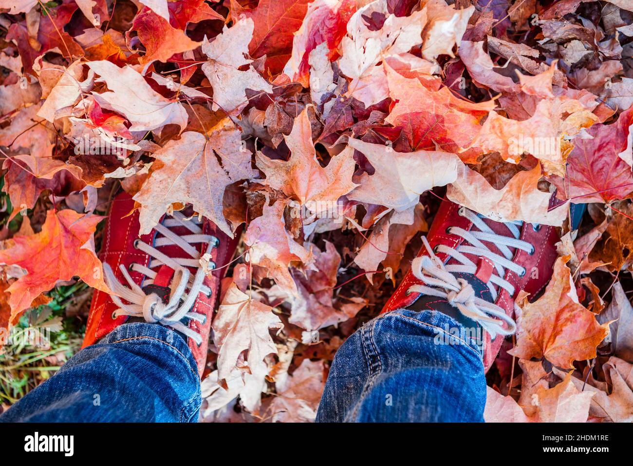 leaves, feet, walk, leaf, feets, foot, walks Stock Photo - Alamy