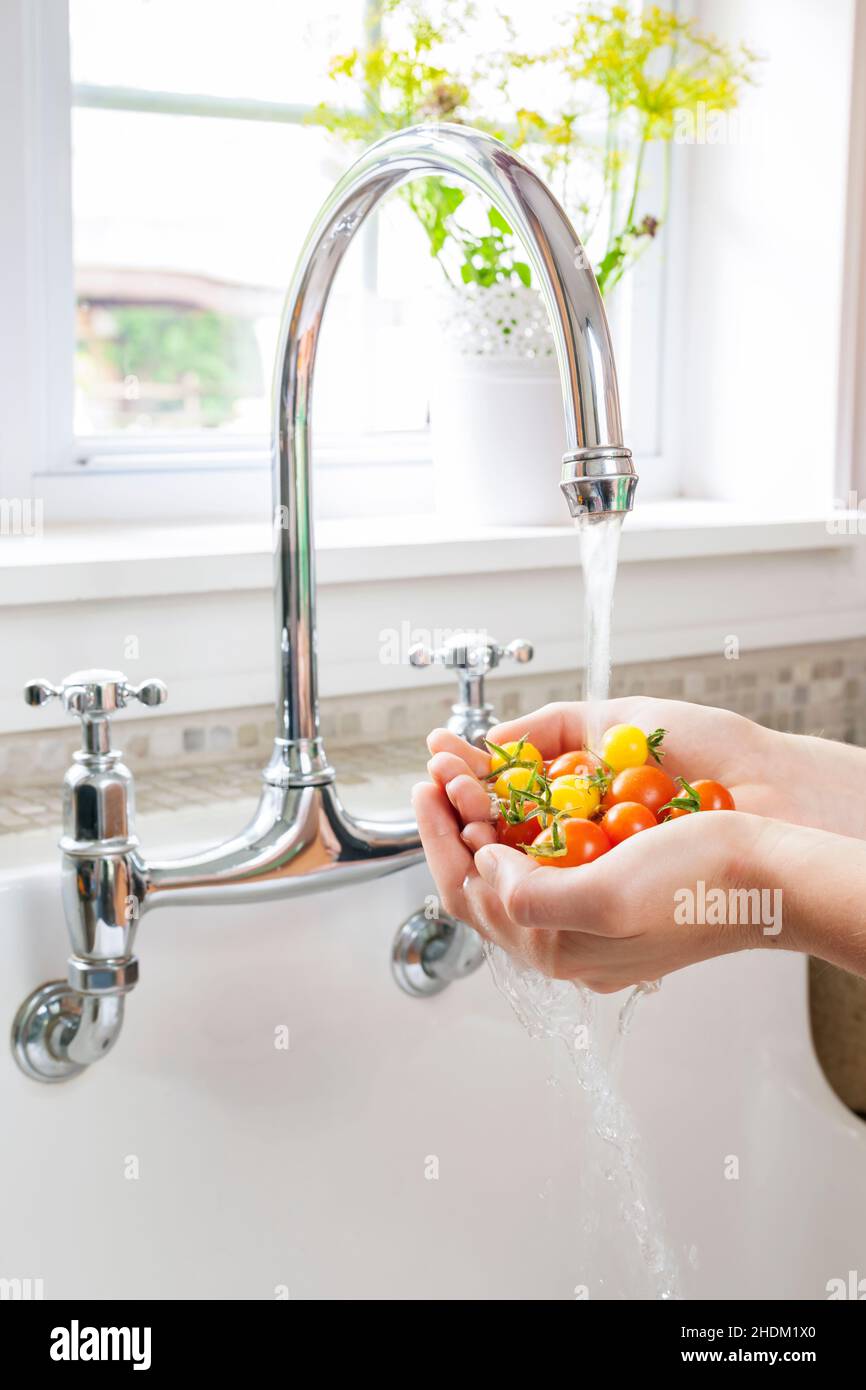 tomatoes, washing, tomato, wash Stock Photo - Alamy