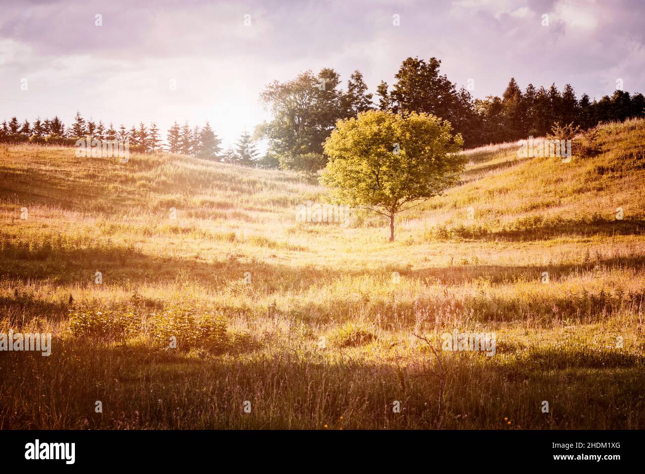 landscape, canada, ontario, landscapes, rural, rural scene, scene ...