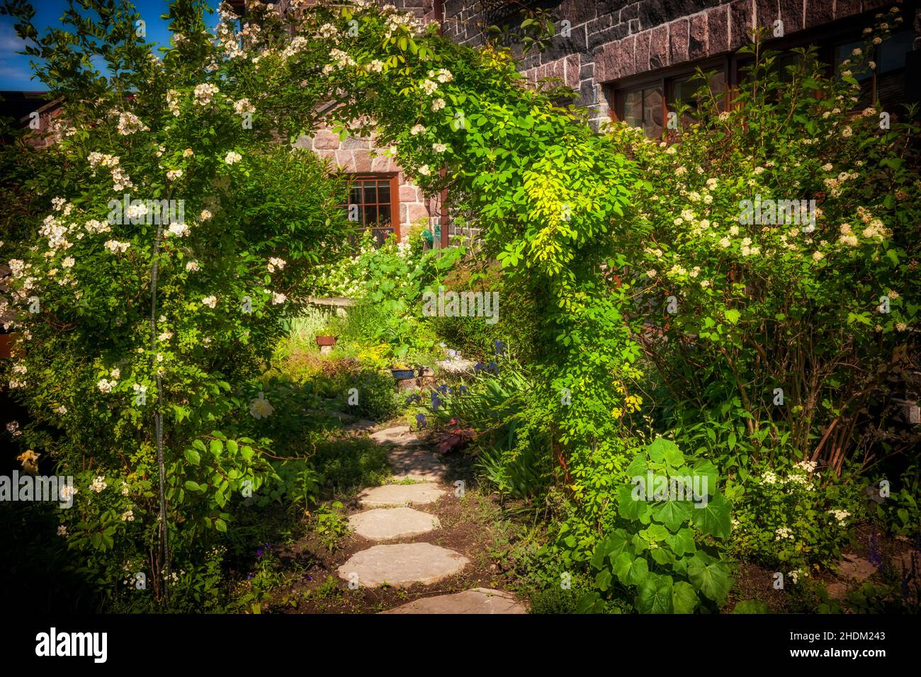 trellis, tendril, tendrils Stock Photo - Alamy
