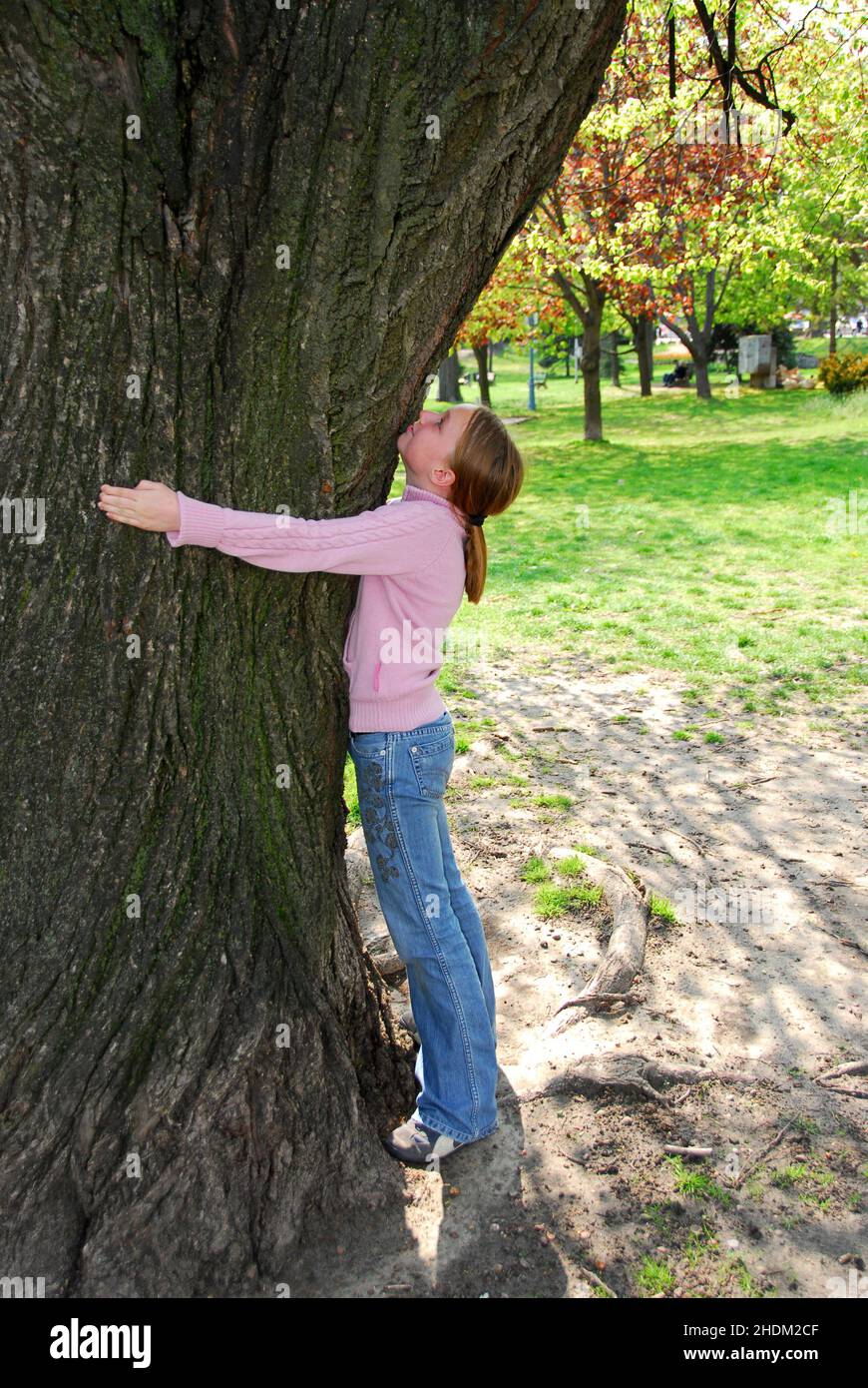 girl, tree trunk, nature relation, girls, trunks, nature relations ...